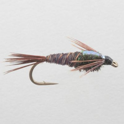 Flashback Pheasant Tail – Pacific Angler