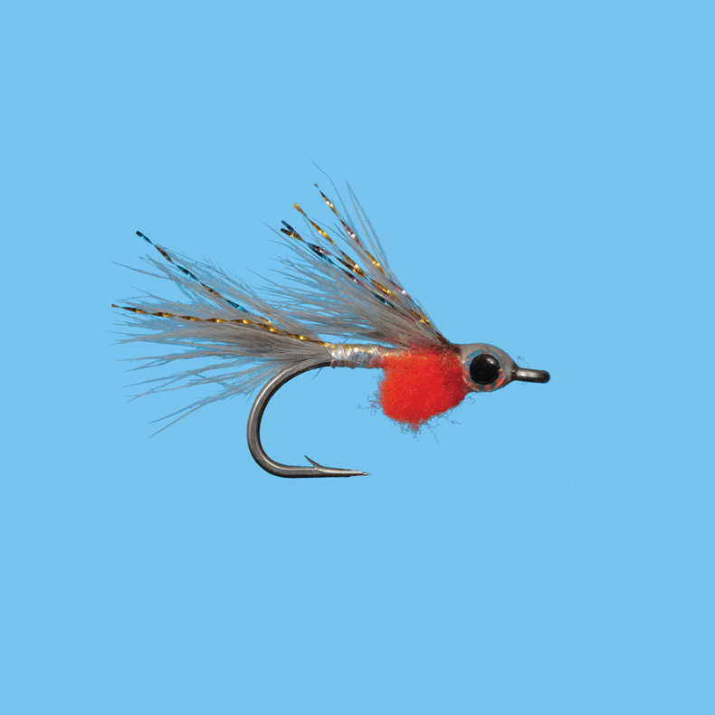 Alevin – Pacific Angler