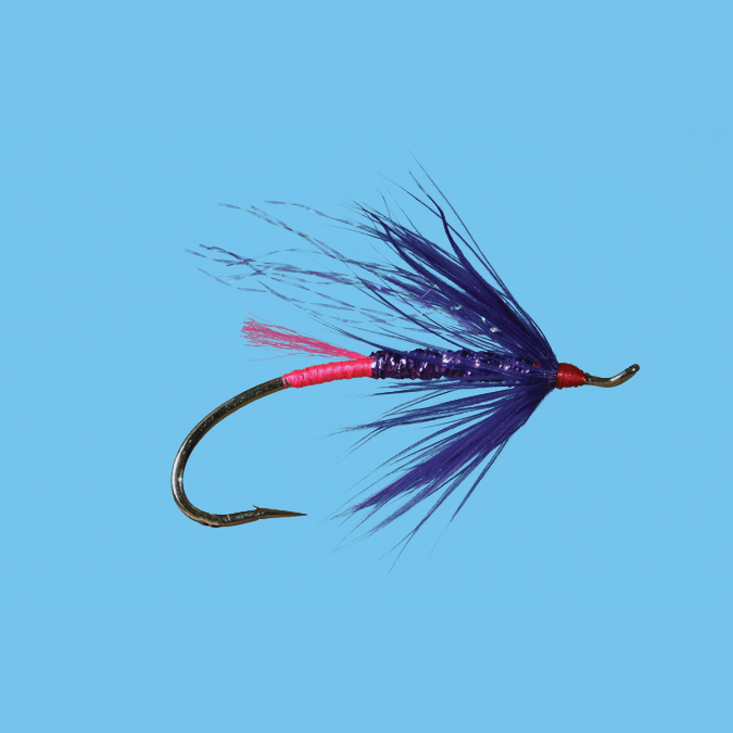 Magic – Pacific Angler