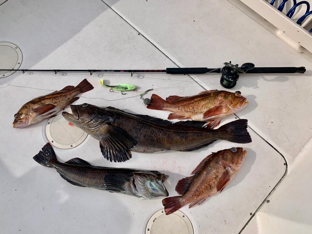 Pacific Angler Friday Fishing Report
