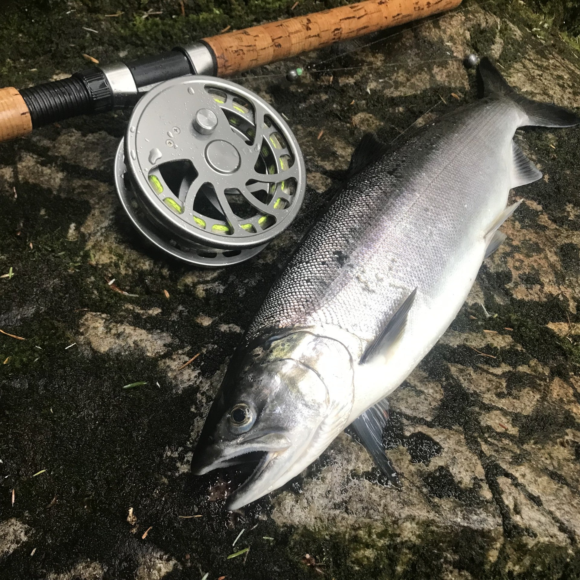 Pacific Angler Friday Fishing Report: May 8, 2026