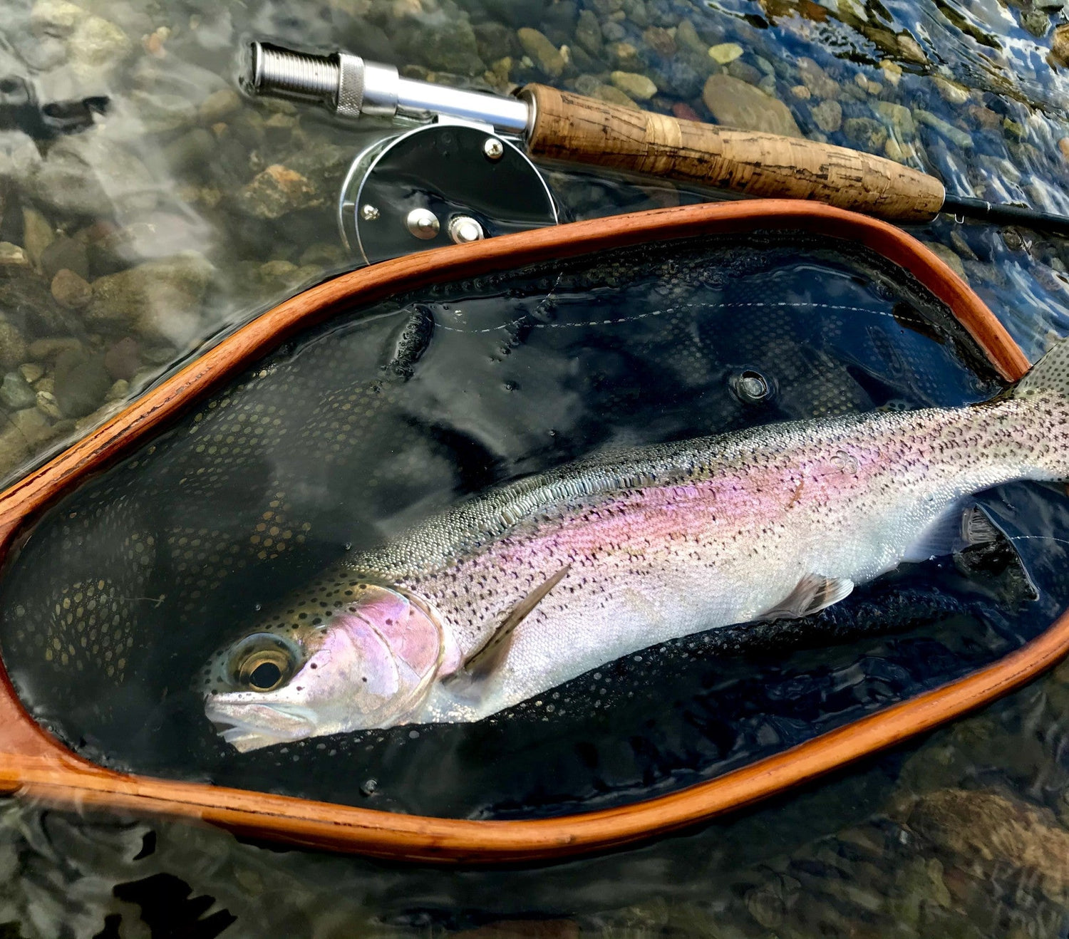 Pacific Angler Friday Fishing Report: August 15, 2025