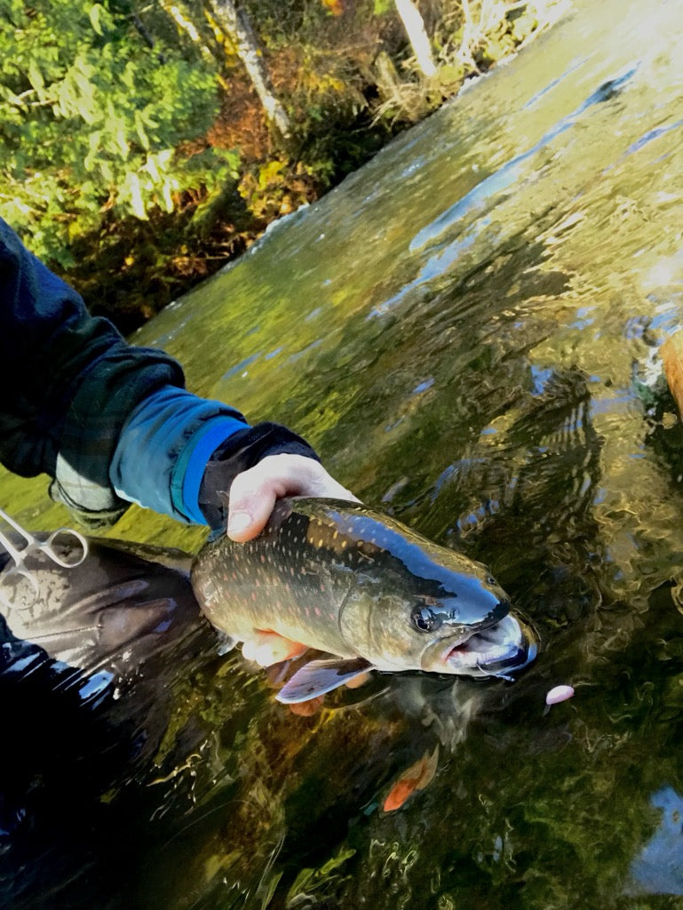 Pacific Angler Friday Fishing Report: January 16, 2026