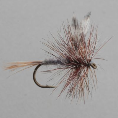 Adams – Pacific Angler