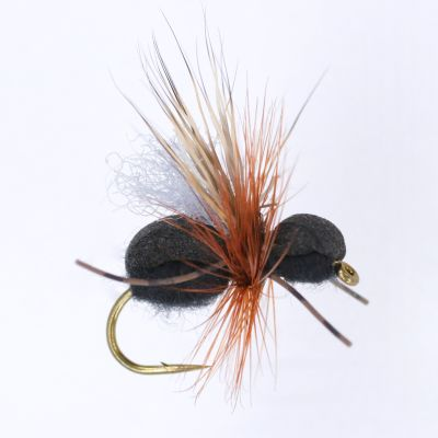 Attractor Ant – Pacific Angler