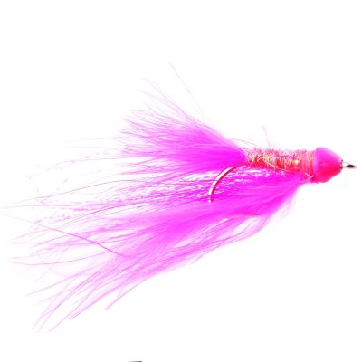 Pink Fink – Pacific Angler