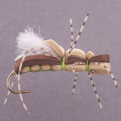 Fat Albert – Pacific Angler
