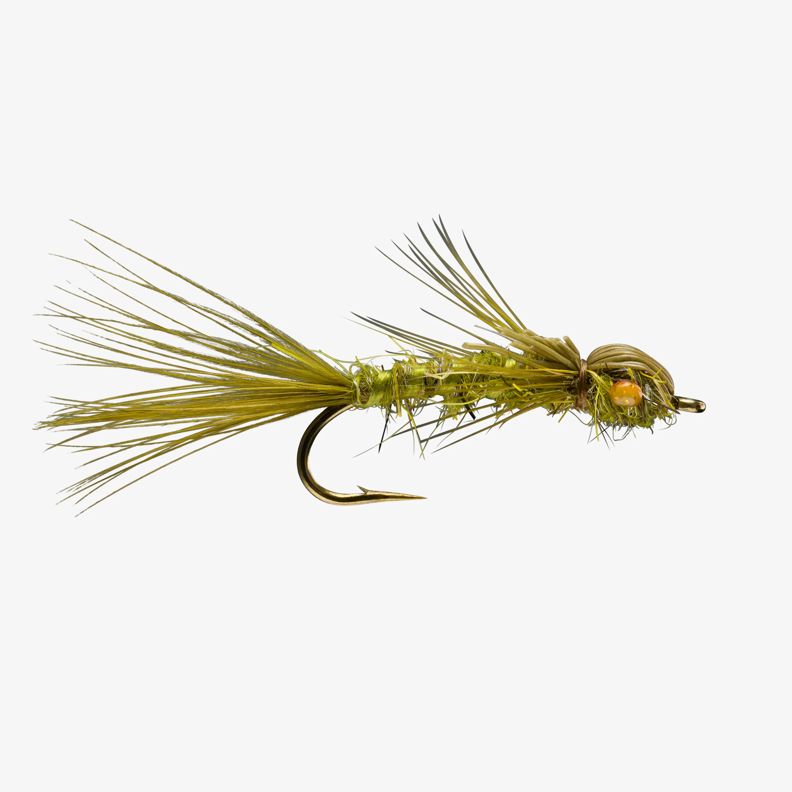 Dainty Damsel – Pacific Angler