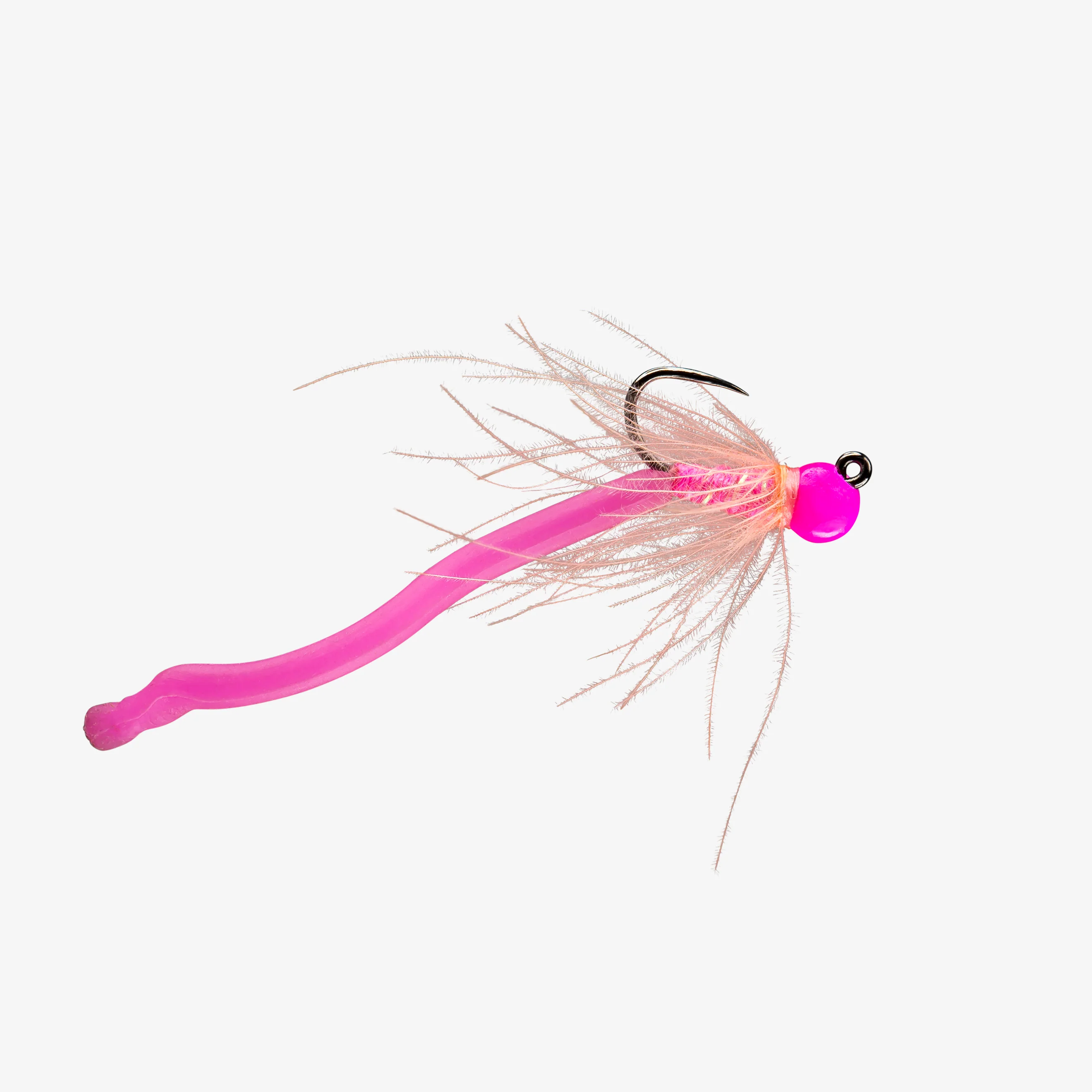 Worm Farm – Pacific Angler