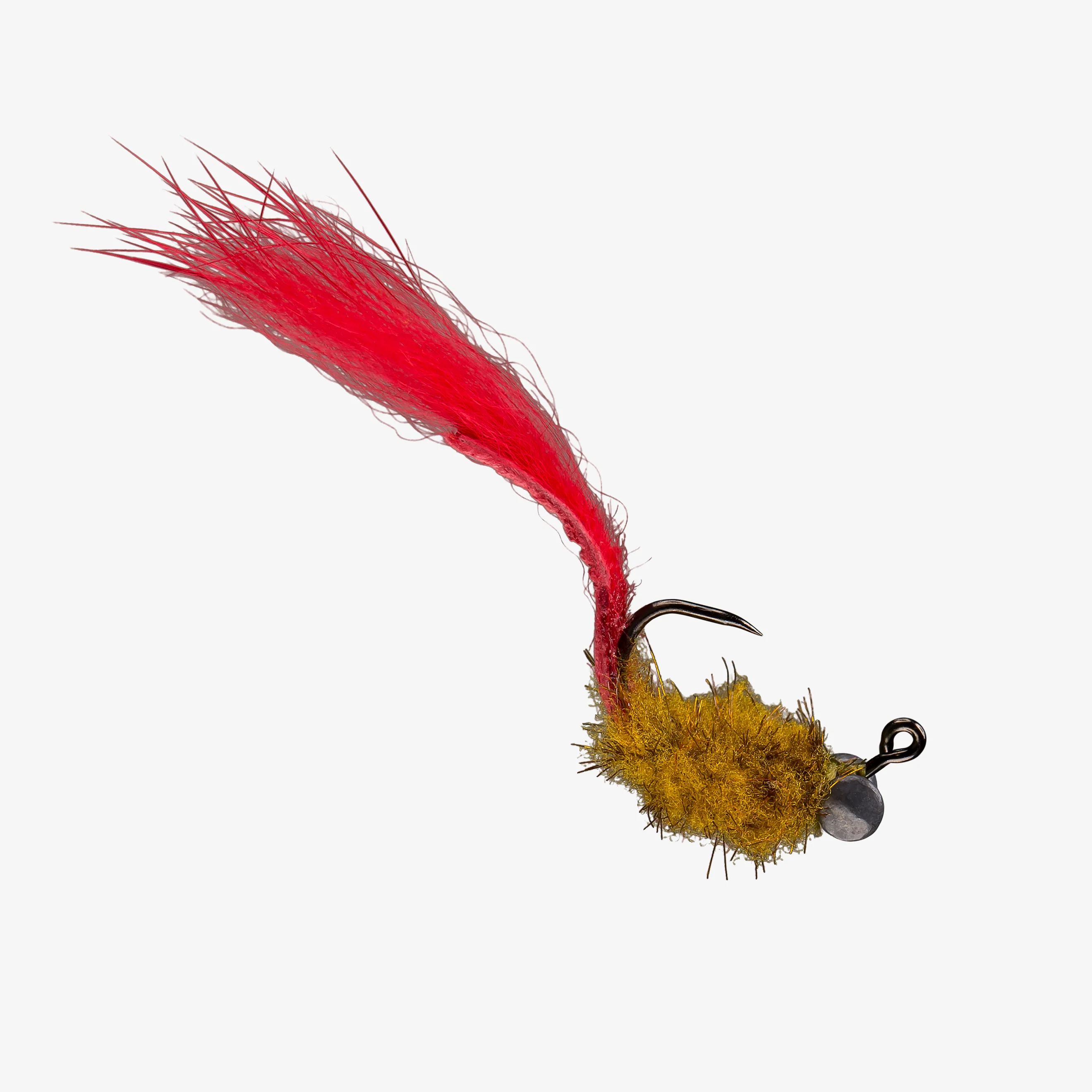 Resting Carp Face – Pacific Angler