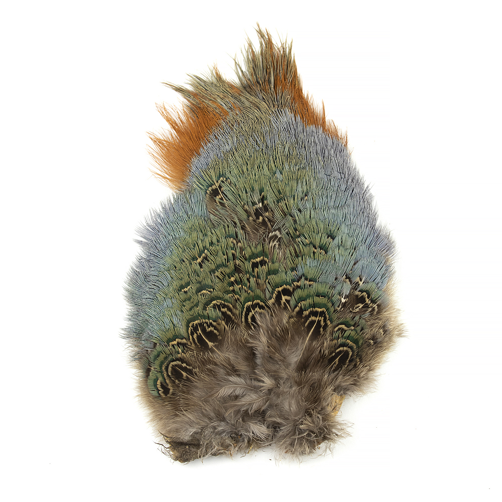 Shor Ring Necked Pheasant Rump Patch – Pacific Angler