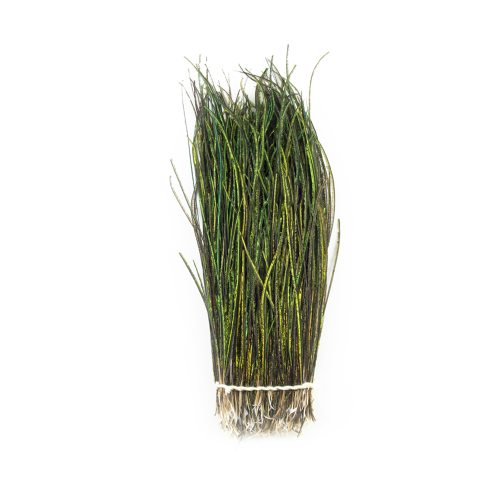 Shor Peacock Herl – Pacific Angler