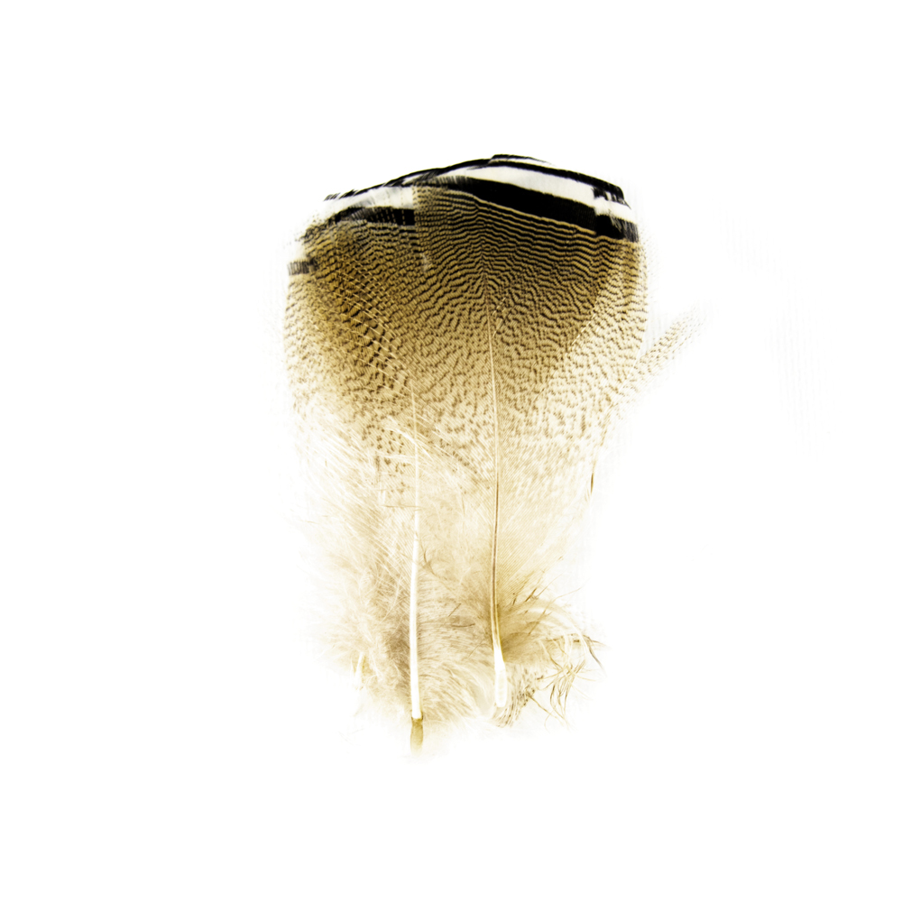 Shor Black & White Wood Duck Flank – Pacific Angler