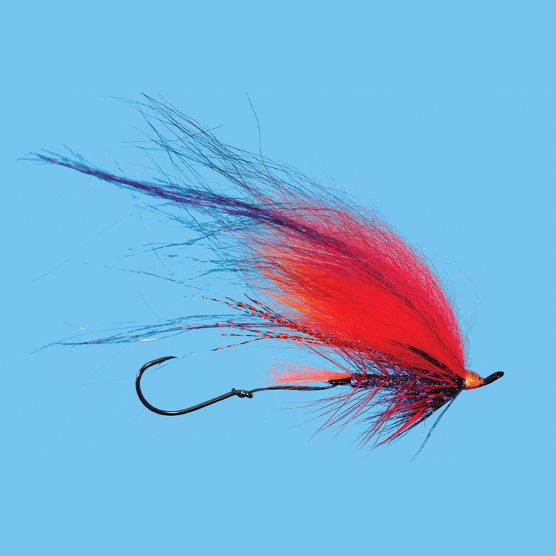 Foxee Dog – Pacific Angler