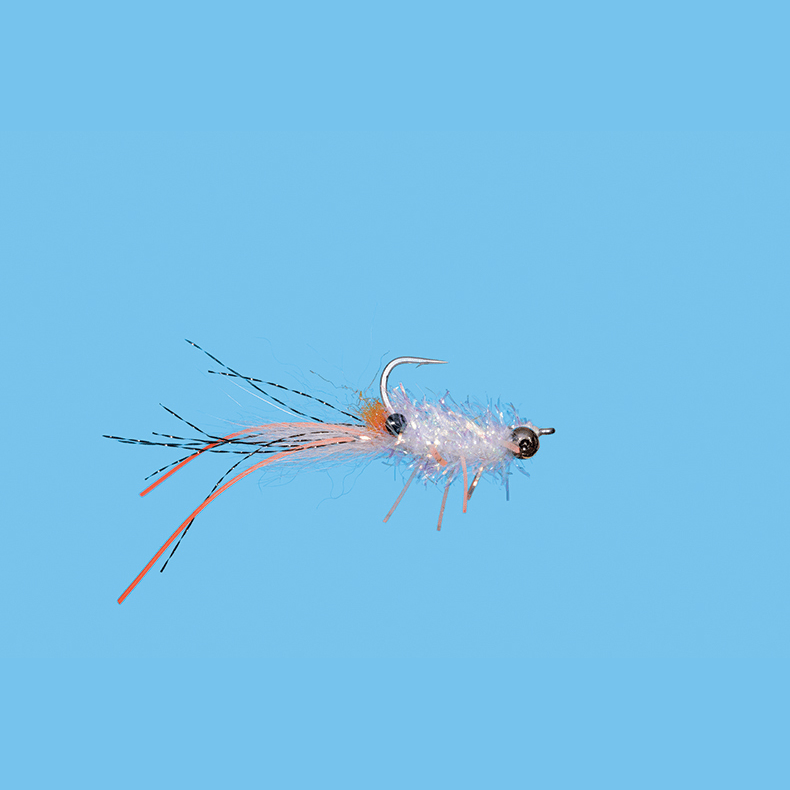 Pimp Shrimp – Pacific Angler