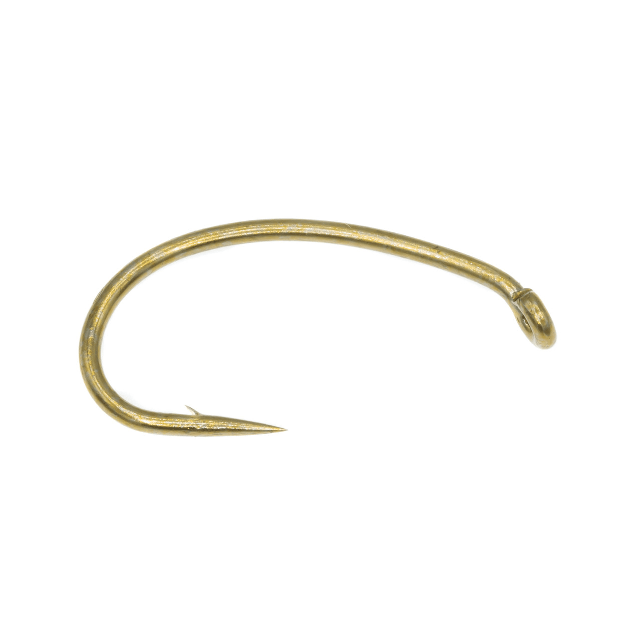 TMC 2487 – Pacific Angler