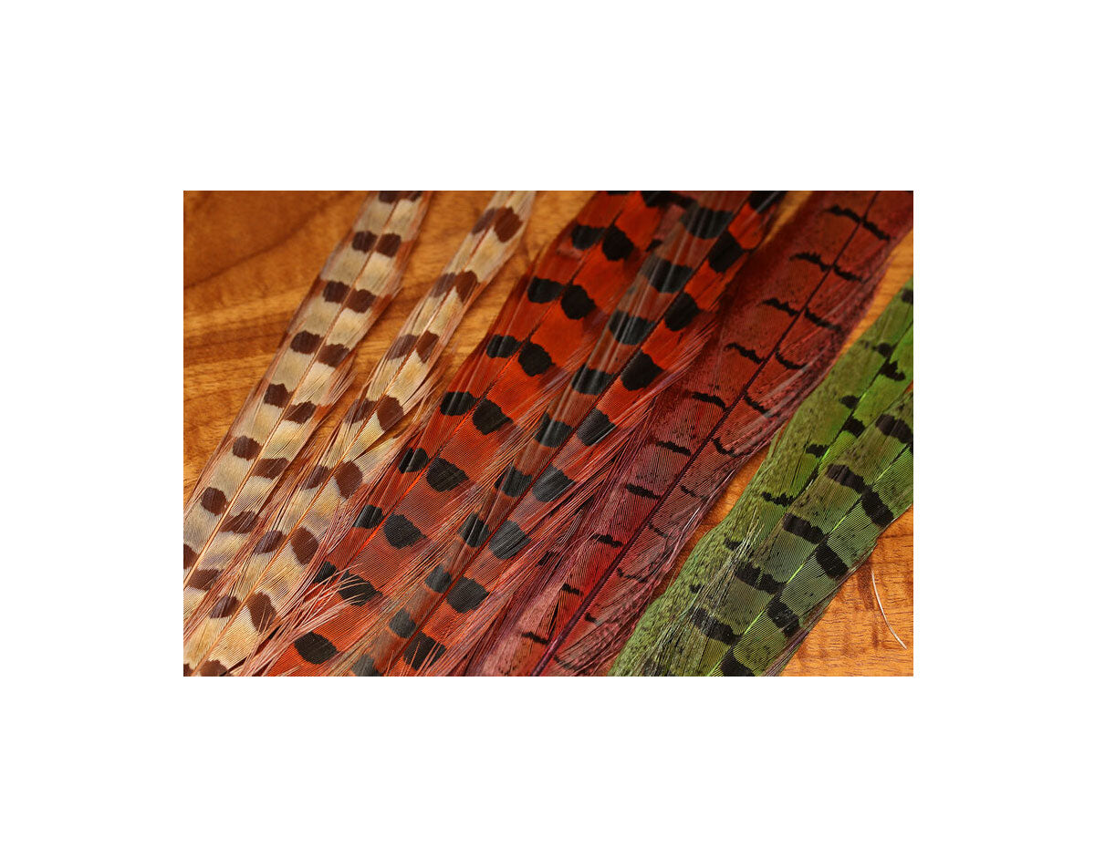 Hook and Hackle Pheasant Rump Patch – Pacific Angler